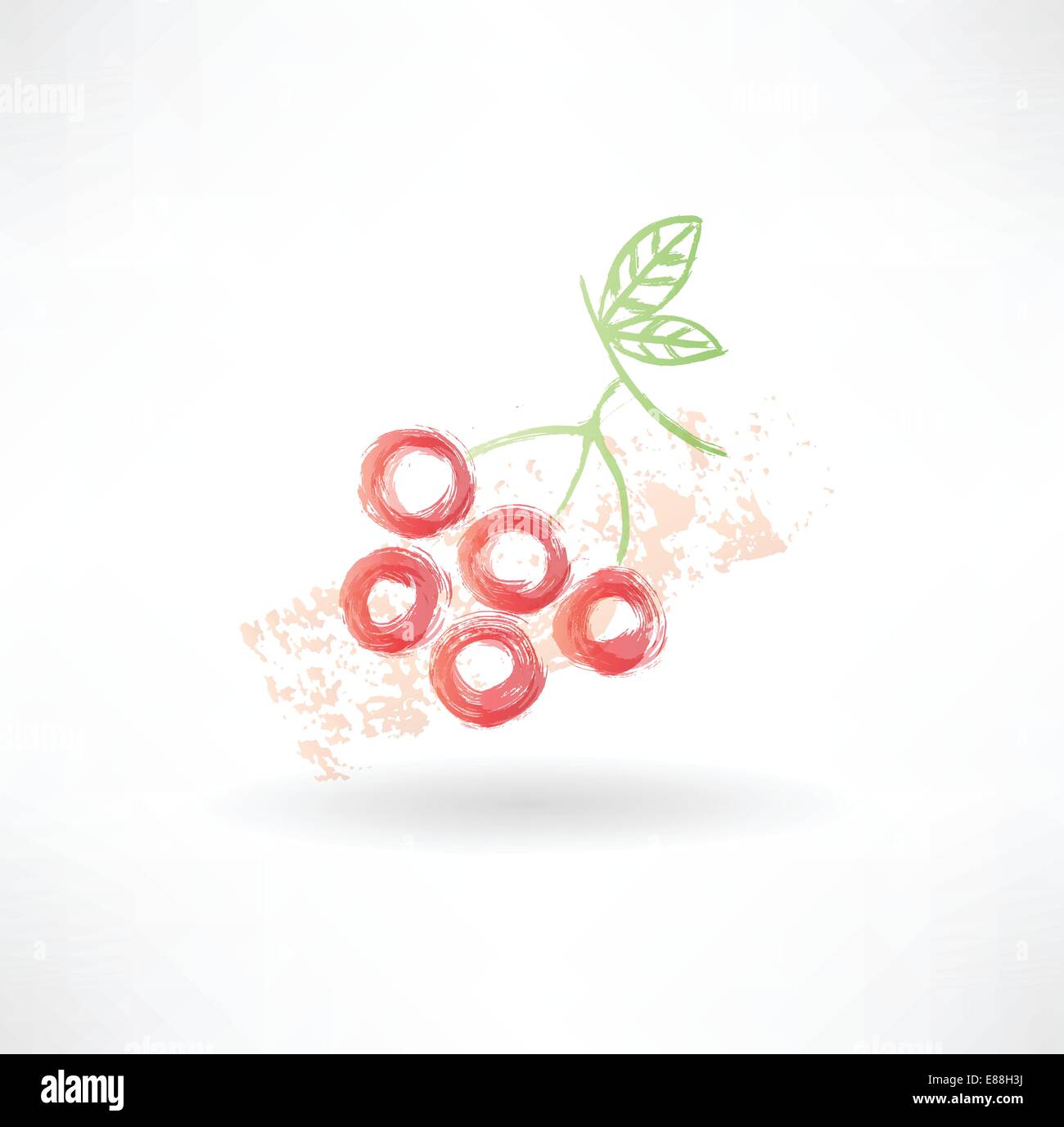 Rowan tree fruit Stock Vector Images - Alamy