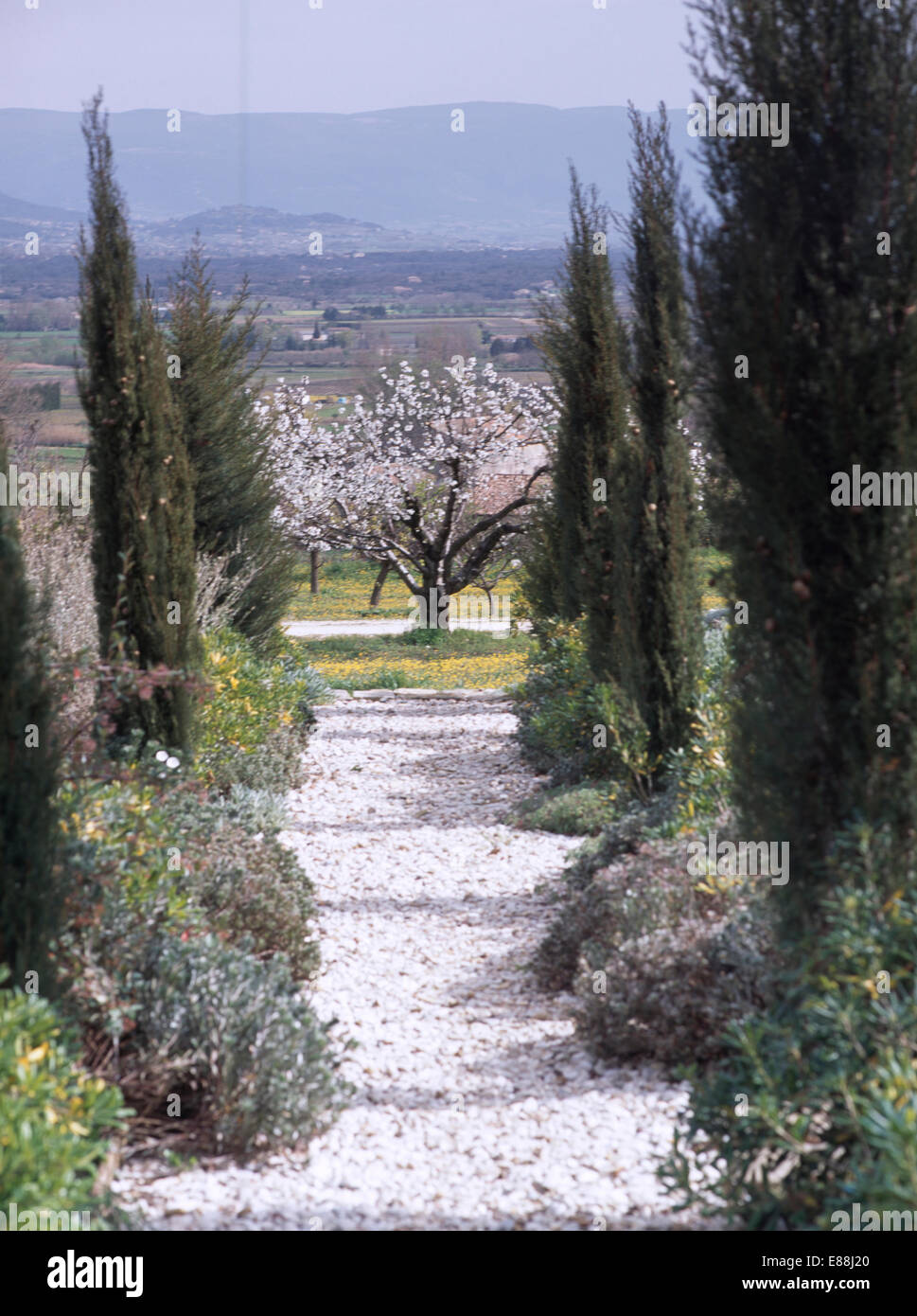 Gravel path through cypress trees and view of French countryside and ...