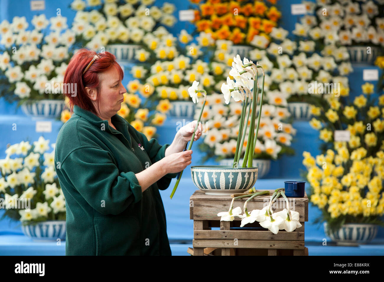 25/4/12 the Harrogate Spring Flower Show 2012 Stock Photo - Alamy