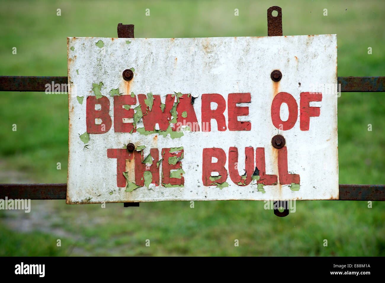 Beware of bull sign hi-res stock photography and images - Alamy