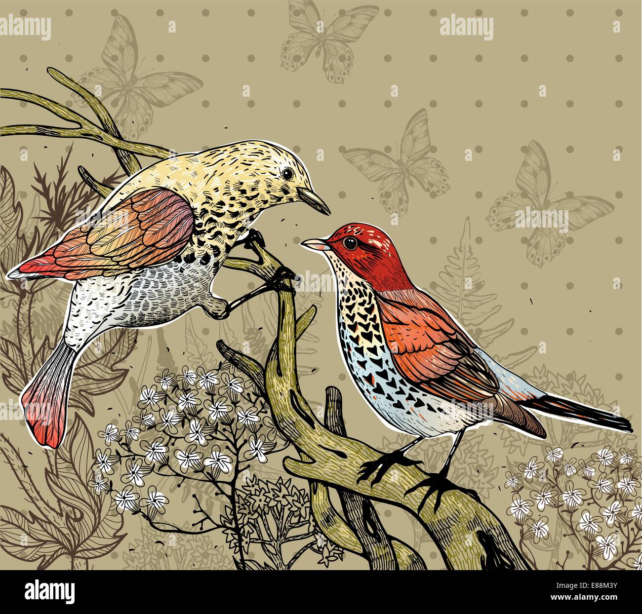 vector illustration of a birds couple and wild plants Stock Vector ...