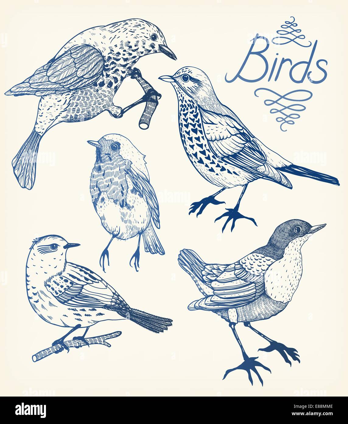 vector set of hand drawn birds Stock Vector Image & Art - Alamy
