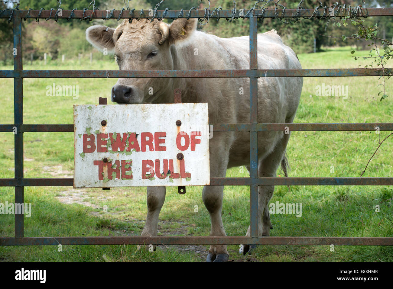 Cattle Signage High Resolution Stock Photography and Images - Alamy
