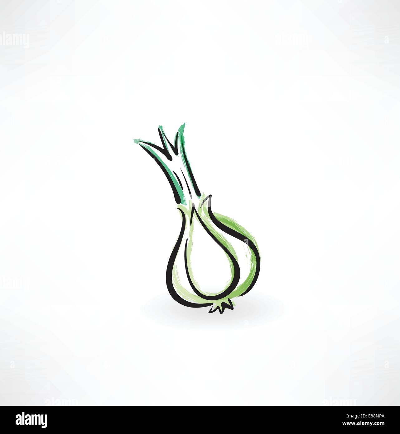 Garlic bulb isolated on Stock Vector Images - Alamy