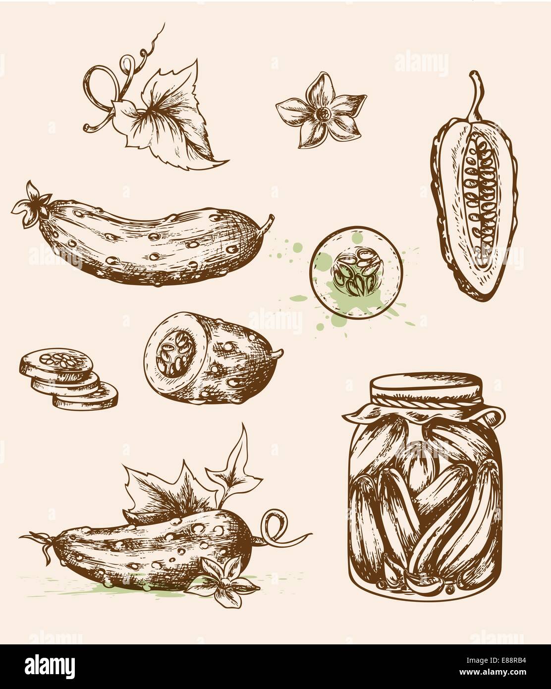 Old cucumbers Stock Vector Images - Alamy