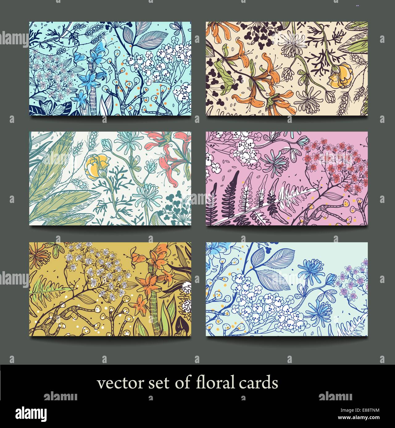 vector set of 6 floral cards Stock Vector Image & Art - Alamy