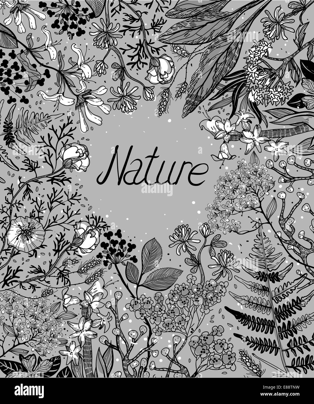 Vector flowers herbs in Black and White Stock Photos & Images - Alamy