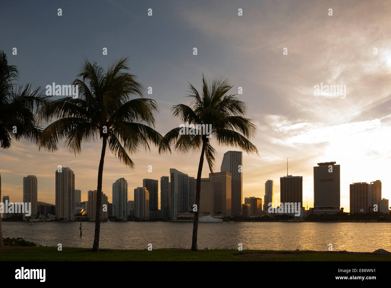 PALM TREES WATSON ISLAND DOWNTOWN SKYLINE BISCAYNE BAY MIAMI FLORIDA ...