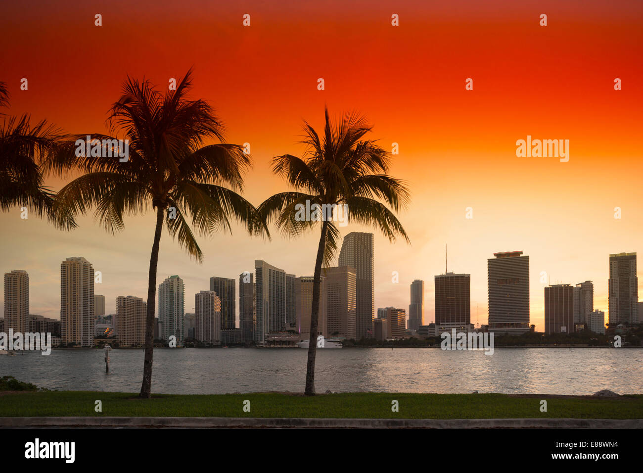 PALM TREES WATSON ISLAND DOWNTOWN SKYLINE BISCAYNE BAY MIAMI FLORIDA ...