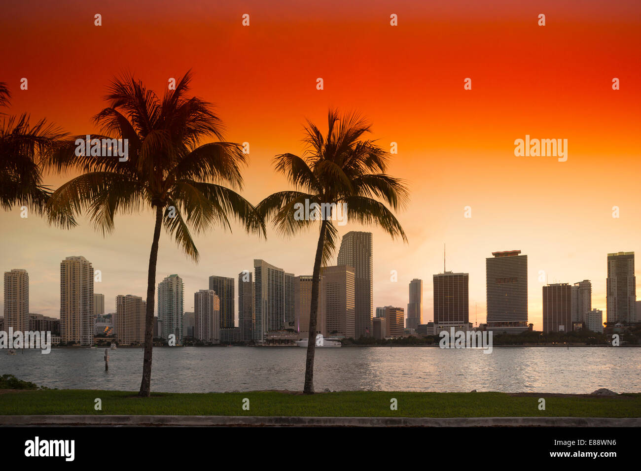 PALM TREES WATSON ISLAND DOWNTOWN SKYLINE BISCAYNE BAY MIAMI FLORIDA ...