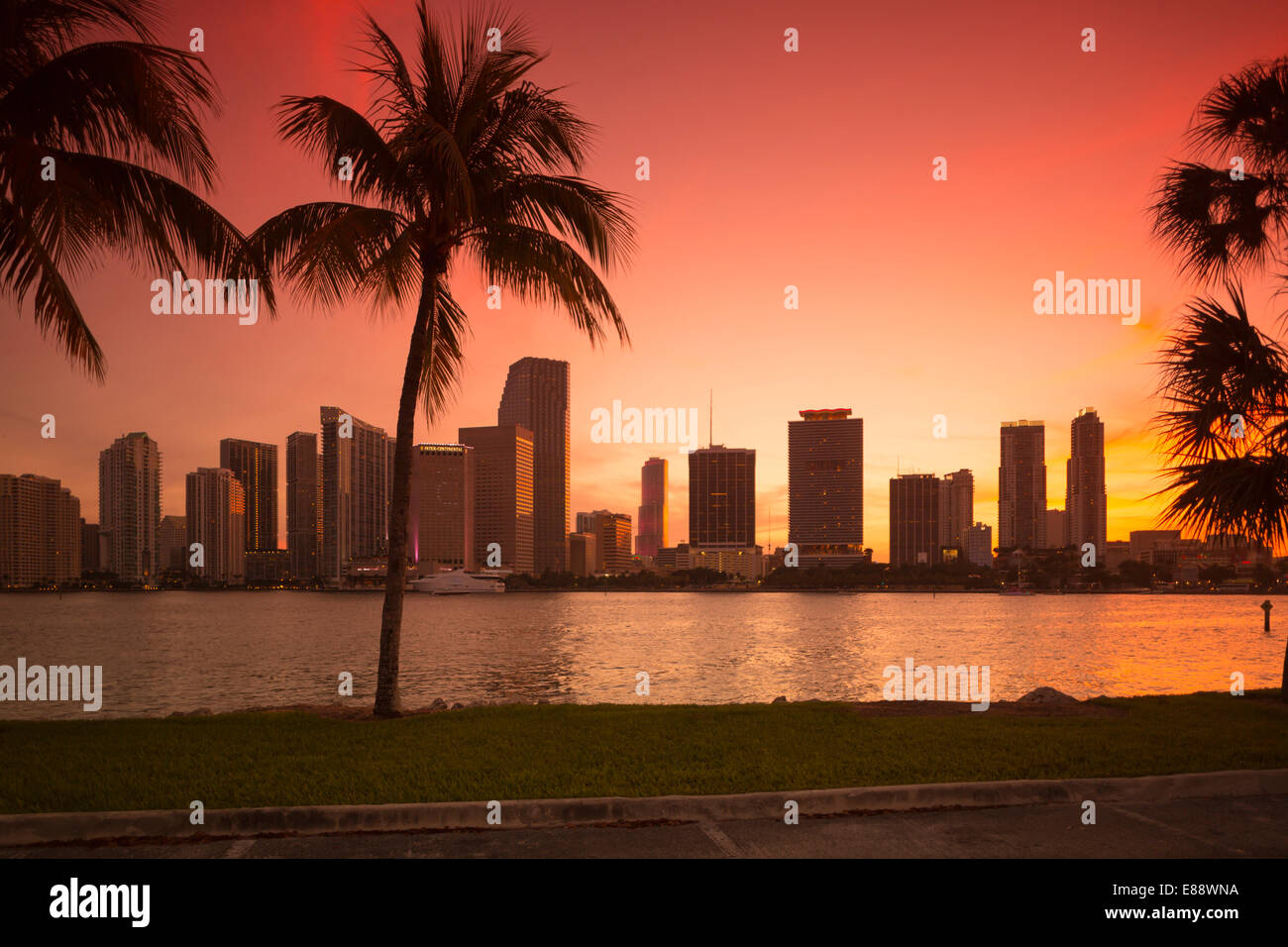 PALM TREES WATSON ISLAND DOWNTOWN SKYLINE BISCAYNE BAY MIAMI FLORIDA ...