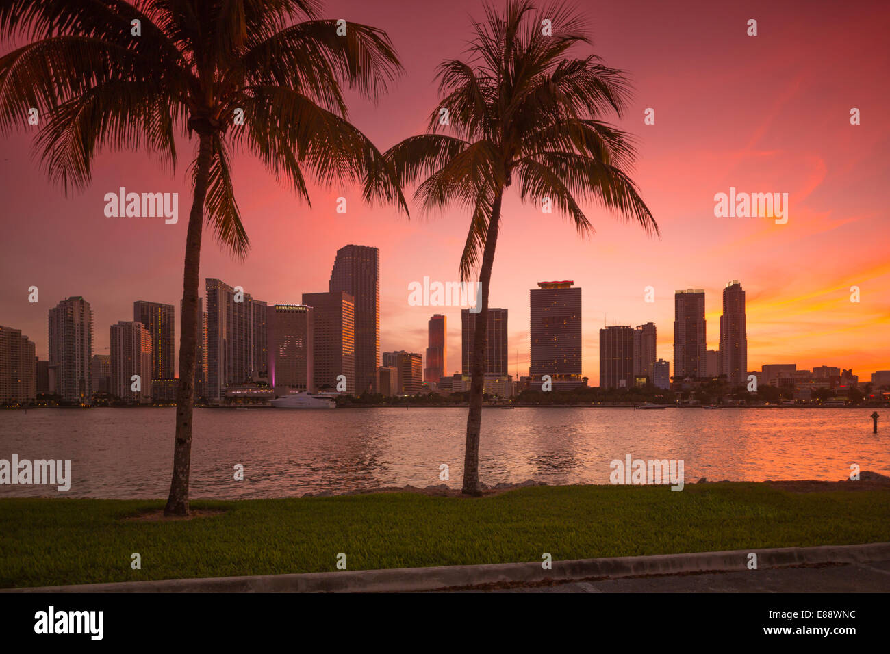 PALM TREES WATSON ISLAND DOWNTOWN SKYLINE BISCAYNE BAY MIAMI FLORIDA ...