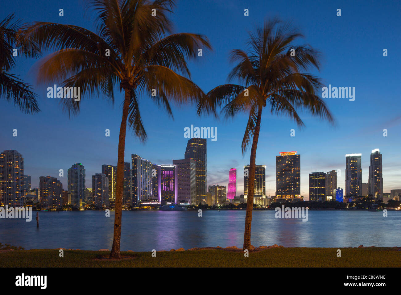 PALM TREES WATSON ISLAND DOWNTOWN SKYLINE BISCAYNE BAY MIAMI FLORIDA ...