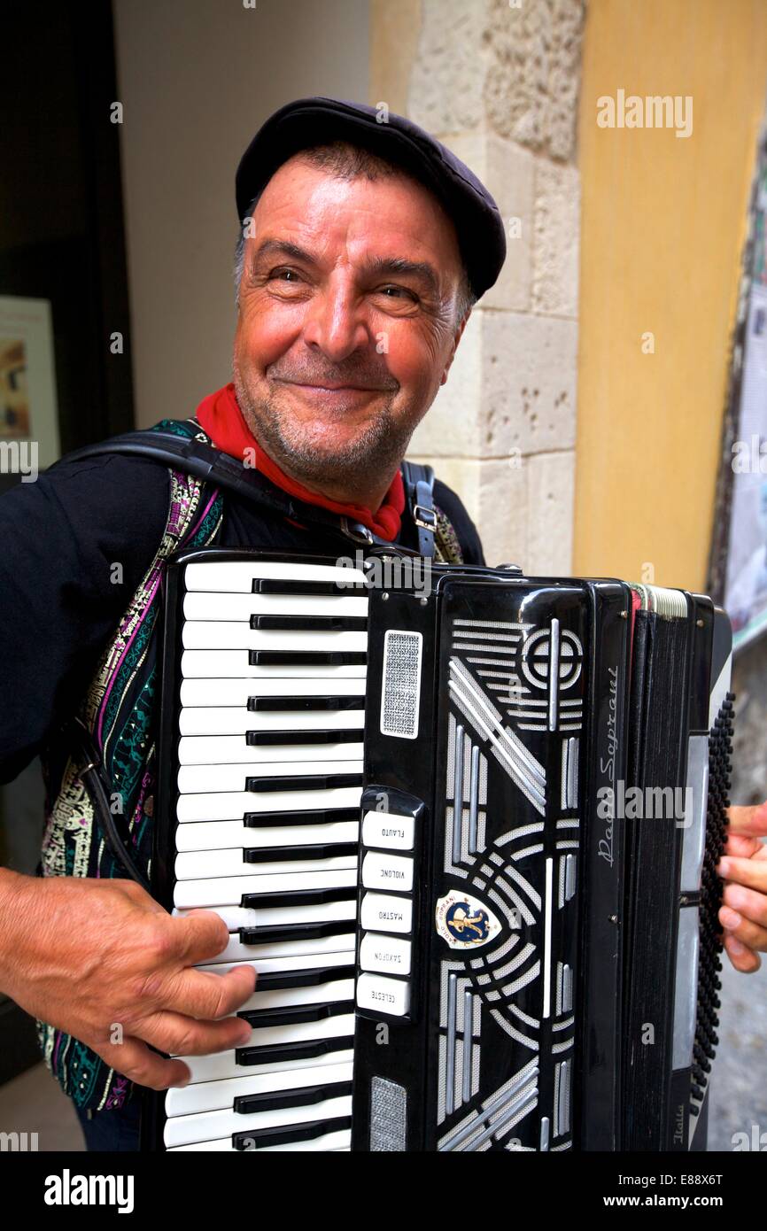 Picasso The Accordionist