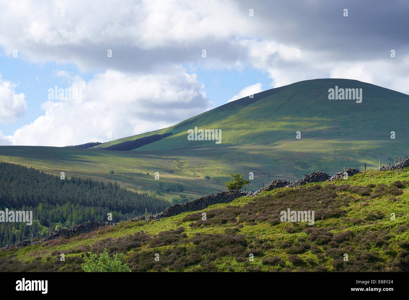 The Cheviot Hills in Northumberlands National Park Stock Photo - Alamy