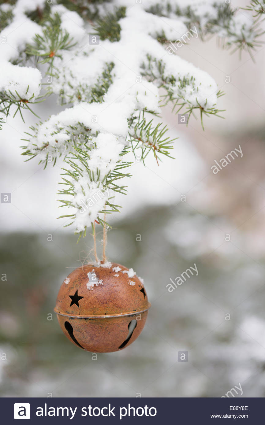 Ornament hanging from tree hi-res stock photography and images - Alamy
