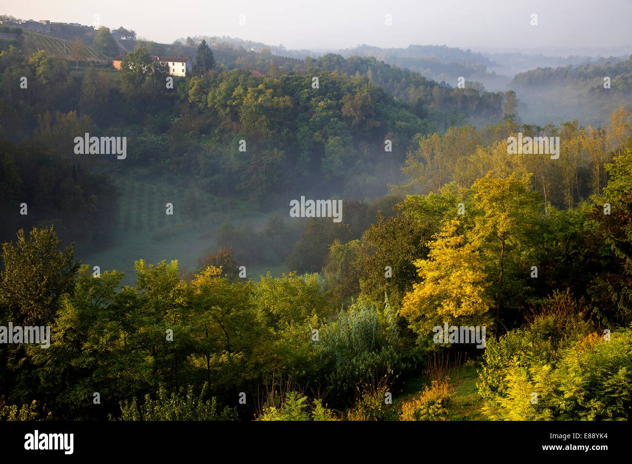 View of Camerano Casasco Asti, village with woods, forest, hills ...