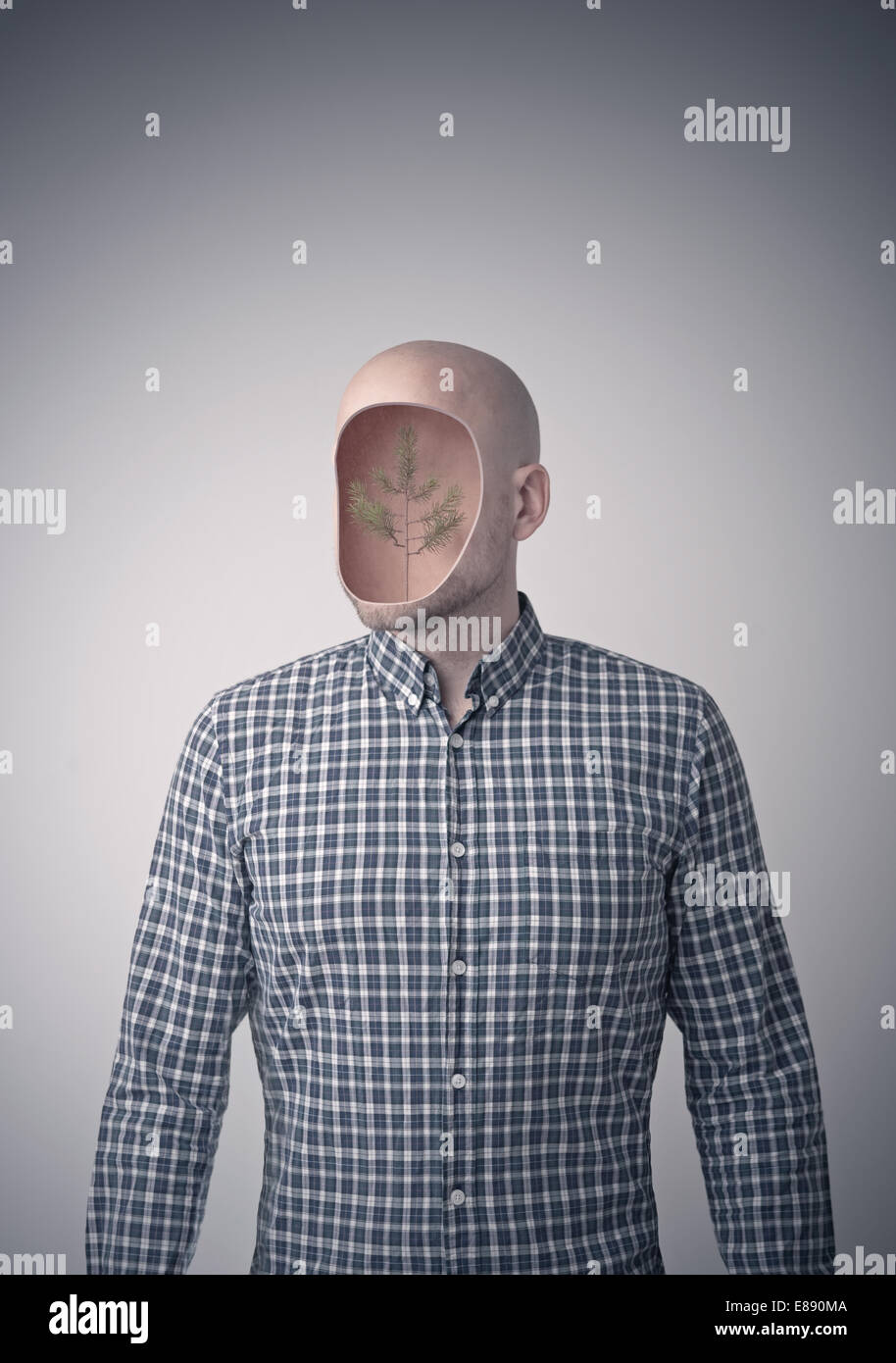 Tree trees pine empty head head nordic nordic pine hi-res stock ...