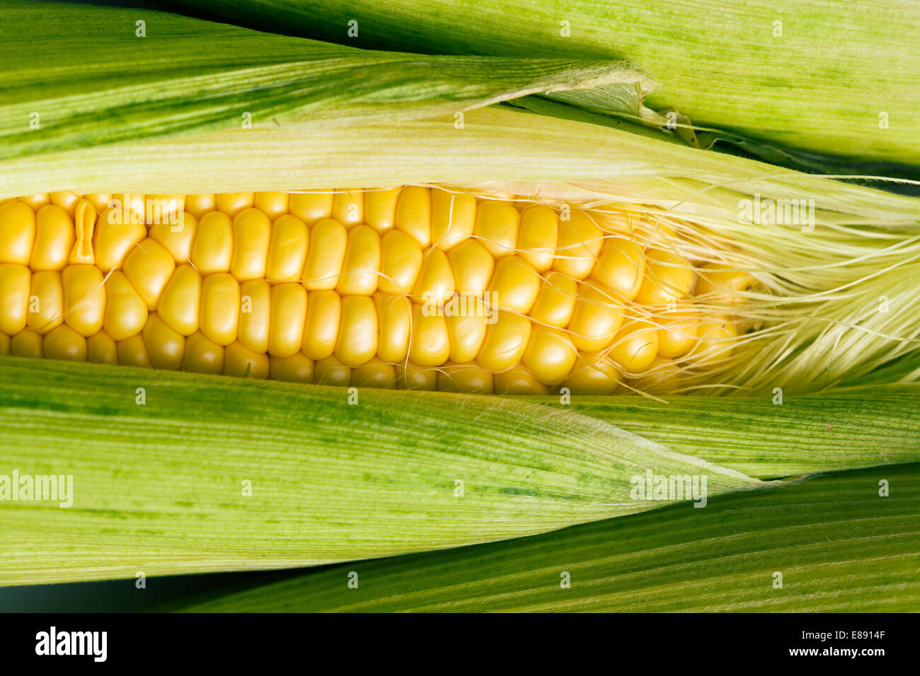 the closeup of sweet corn Stock Photo - Alamy