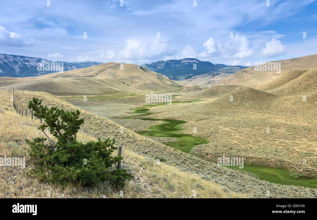 The Beartooth Mountains and foothills with a valley flanked by shrub ...