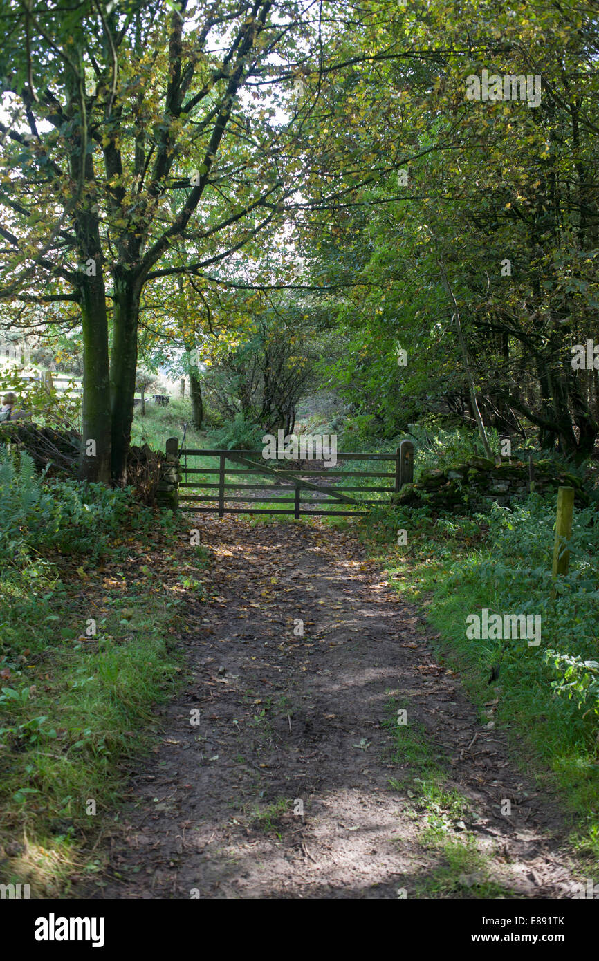 Drovers scotland hi-res stock photography and images - Alamy