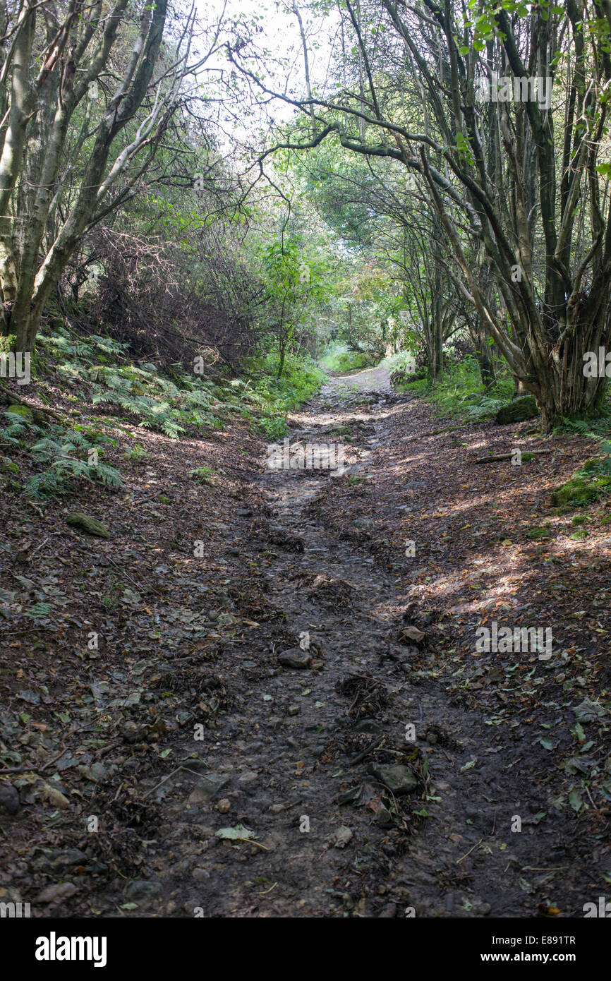 Drovers route hi-res stock photography and images - Alamy