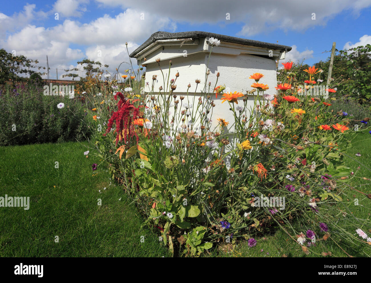 Beehive in the herb garden at Houghton Hall, Norfolk, England, UK Stock ...