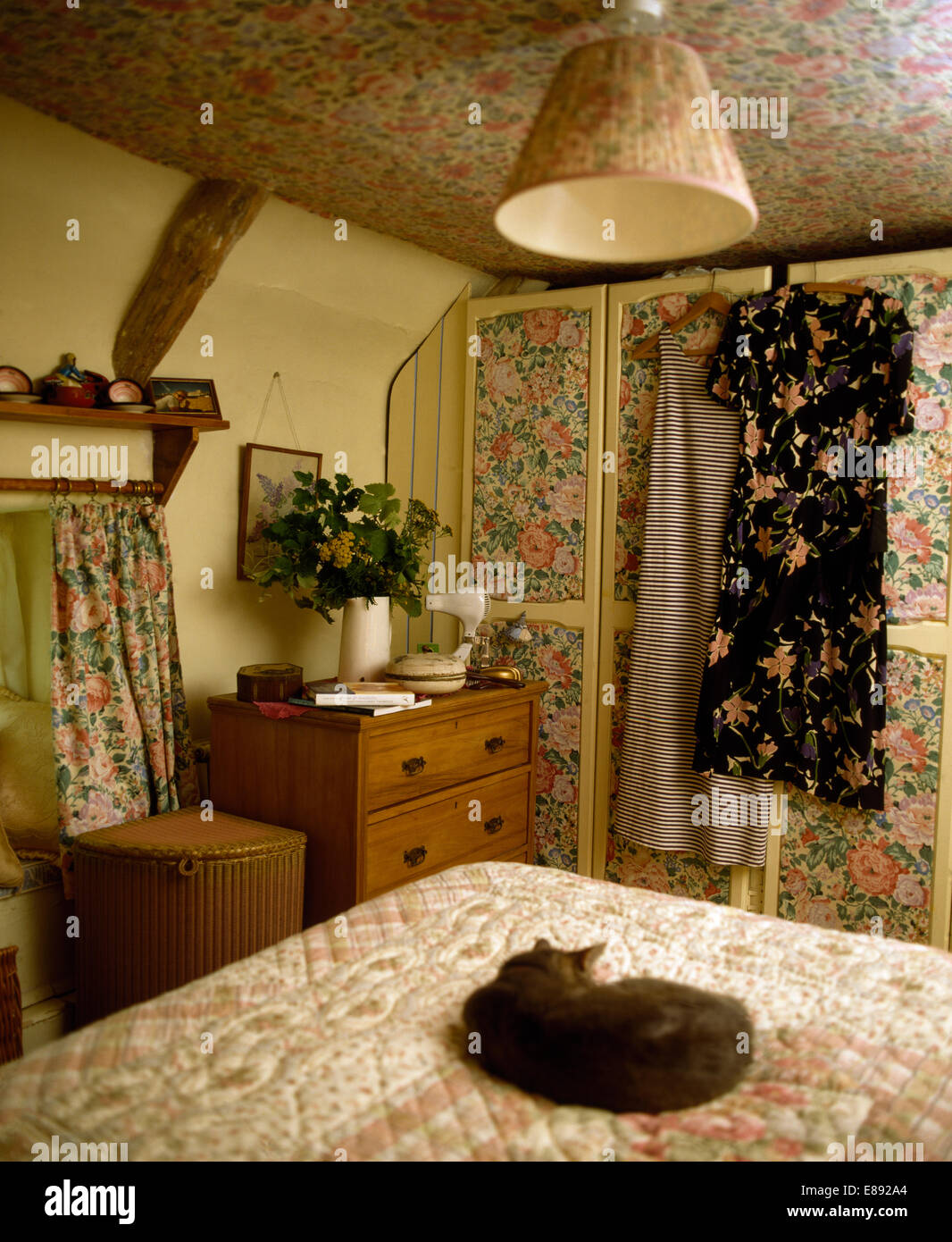 Cat lying on bed in economy style bedroom with wallpaper panels on ...