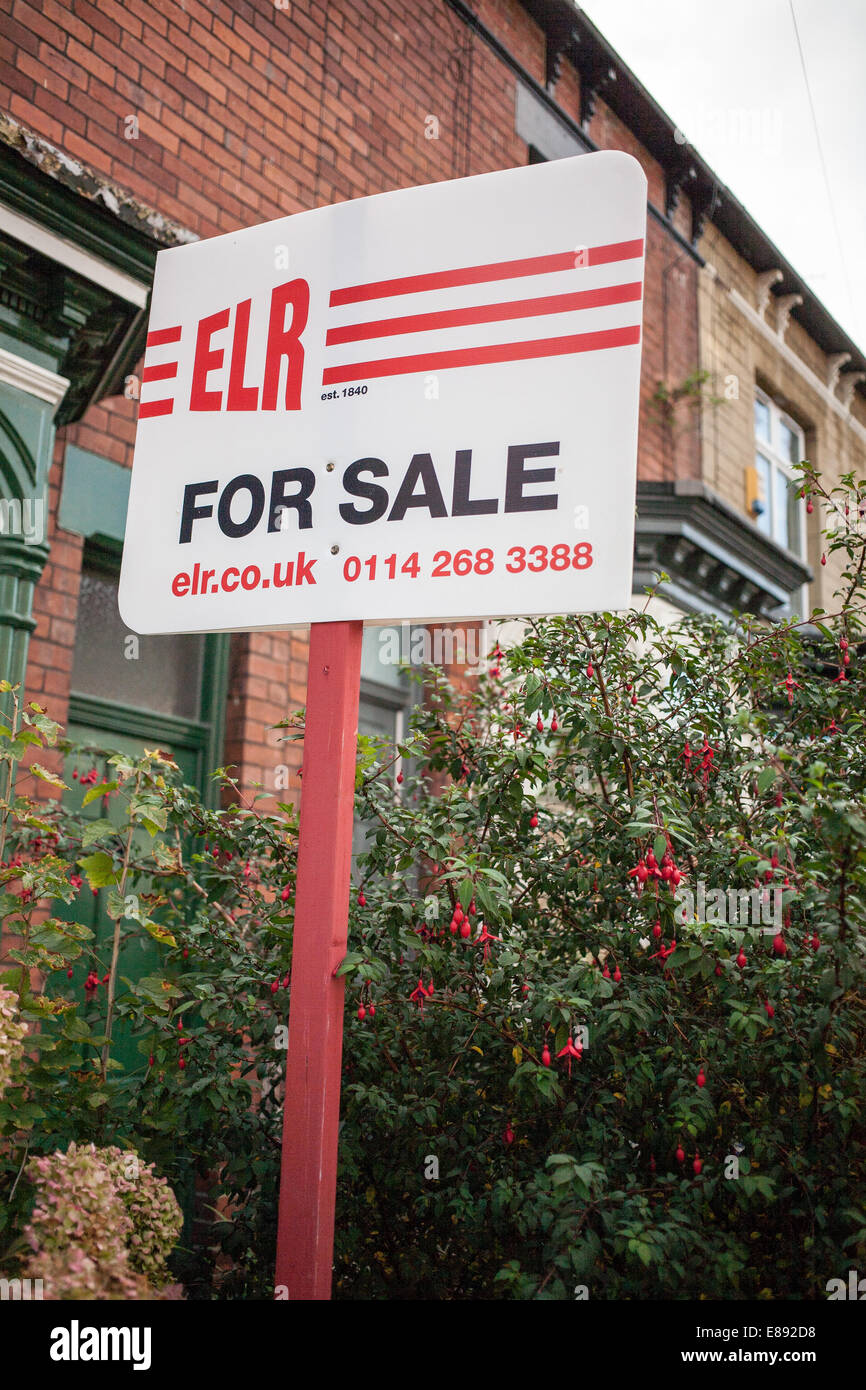 For sale sign in Sheffield South Yorkshire Stock Photo - Alamy