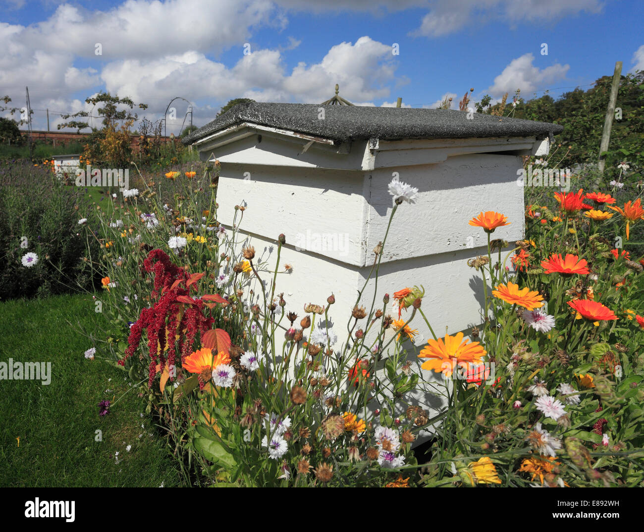 Beehive garden hi-res stock photography and images - Alamy