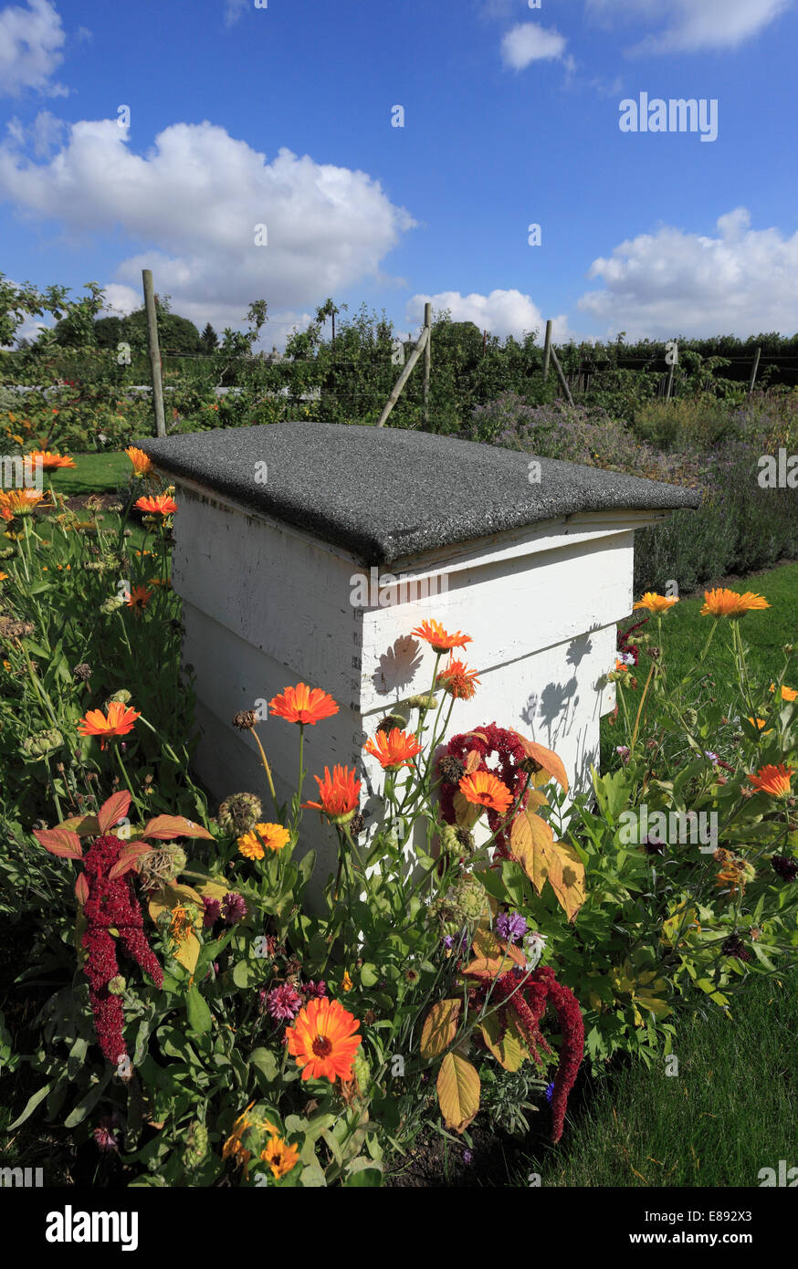Beehive in the herb garden at Houghton Hall, Norfolk, England, UK Stock ...