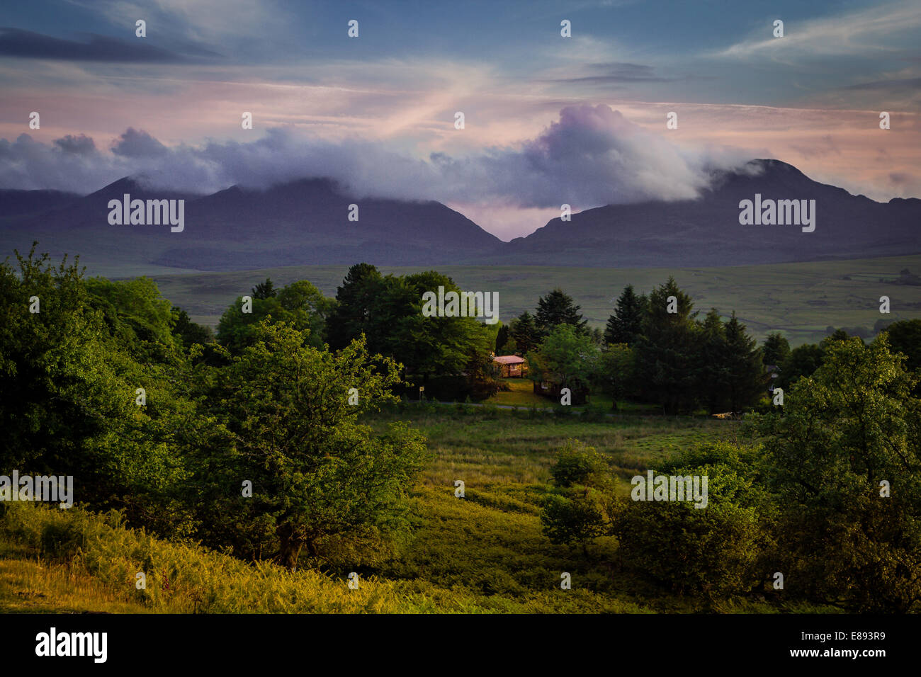 Rhinogs hi-res stock photography and images - Alamy
