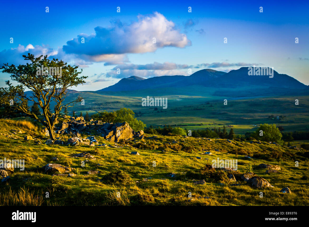 The Rhinogs in Snowdonia National Park Stock Photo - Alamy