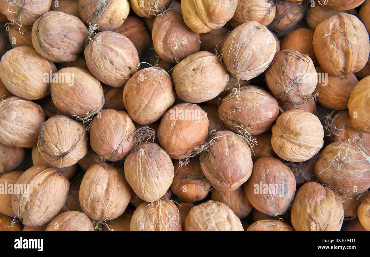 Just picked walnuts with remains of the coverage Stock Photo - Alamy