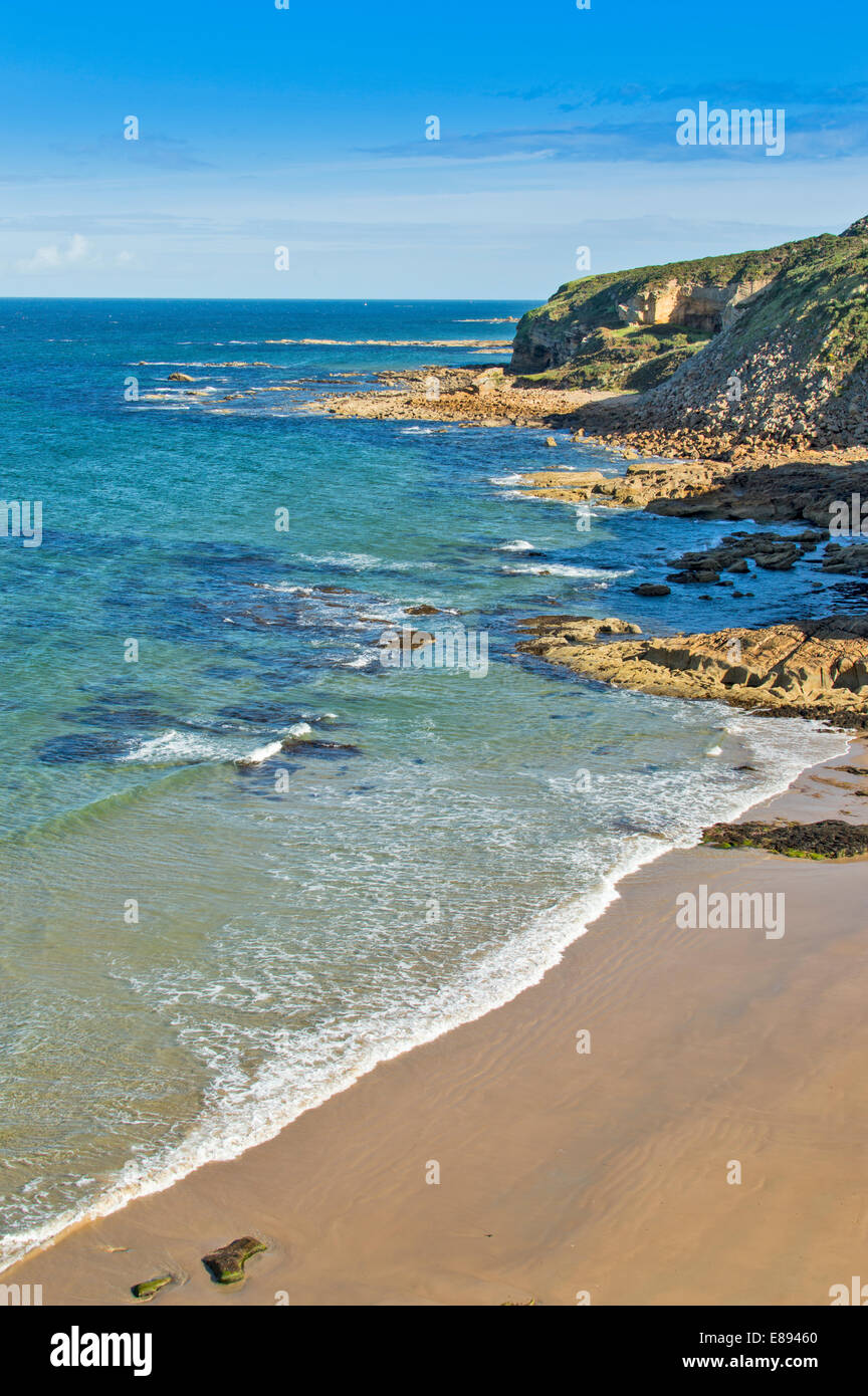 MORAY SANDSTONE COASTLINE SCOTLAND NEAR HOPEMAN BEACH AND SEA Stock ...
