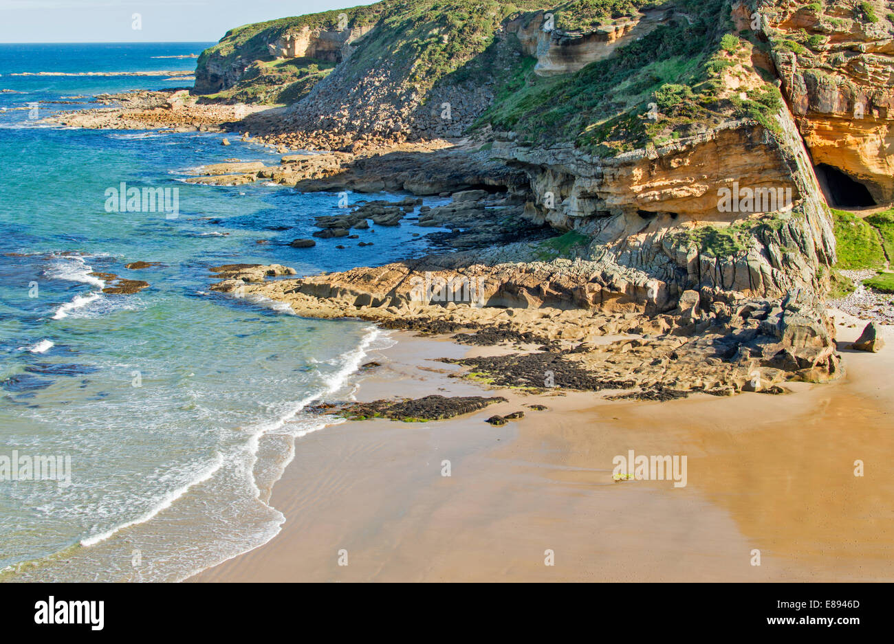 MORAY COASTLINE SCOTLAND NEAR HOPEMAN GOLDEN SANDSTONE CLIFFS BEACH AND ...