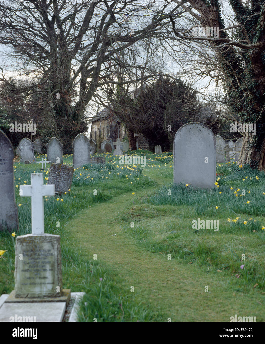 Old grave stones beside mown grass path in country church yard in ...