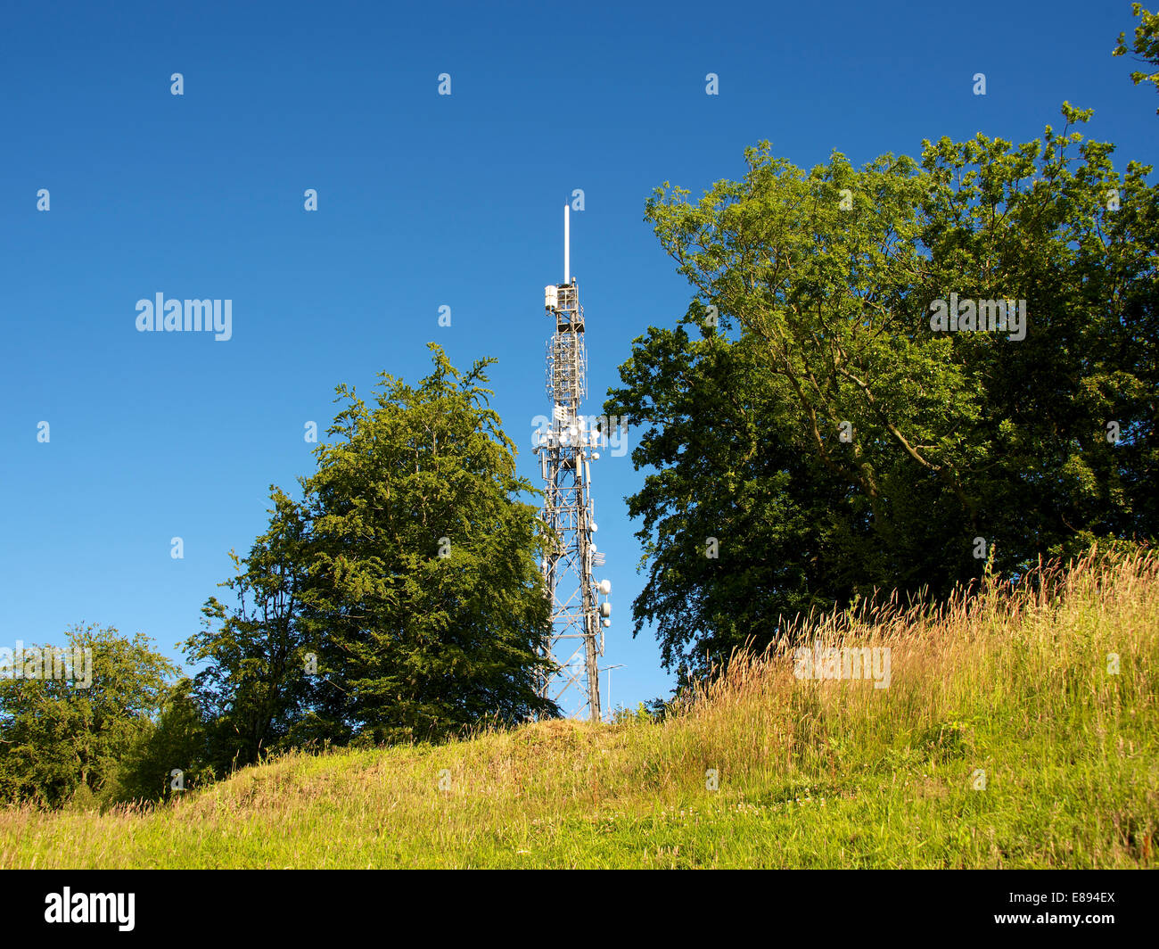 Reigate Hill TV and Radio Transmitting Mast Stock Photo - Alamy