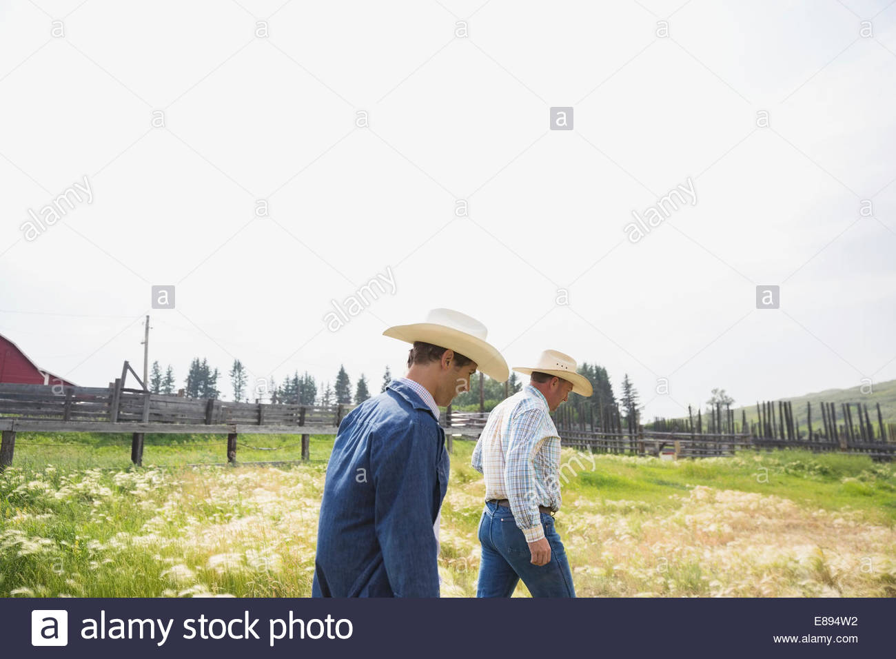 30 39 30 35 35 39 hi-res stock photography and images - Alamy