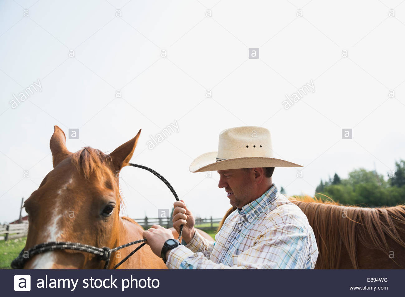 Tacking a horse hi-res stock photography and images - Alamy
