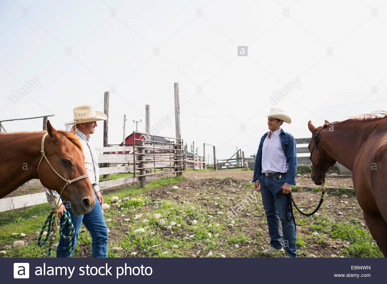 Two animals talking hi-res stock photography and images - Alamy