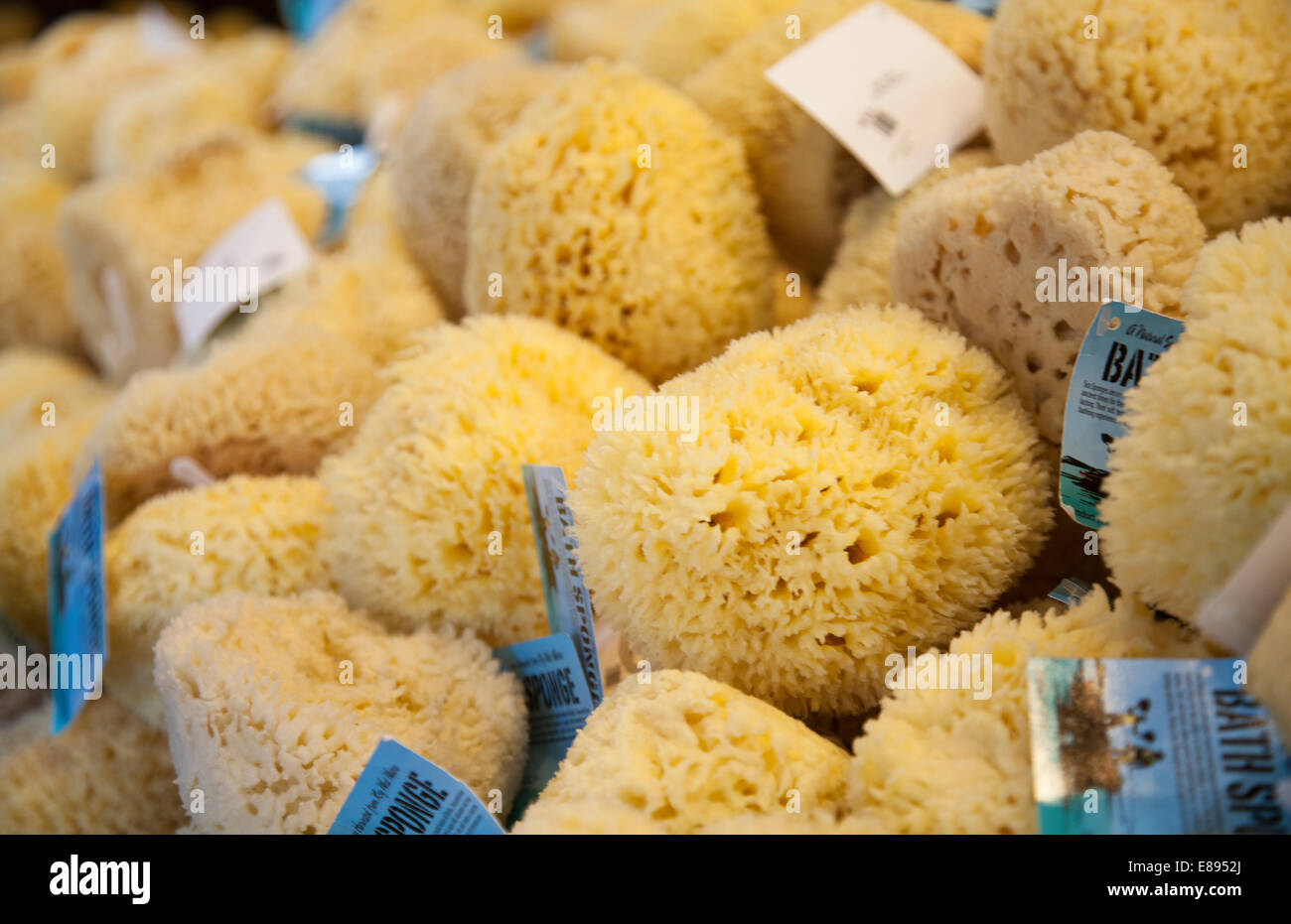 Yellow sponges for sale in Key West the Florida Keys Stock Photo - Alamy