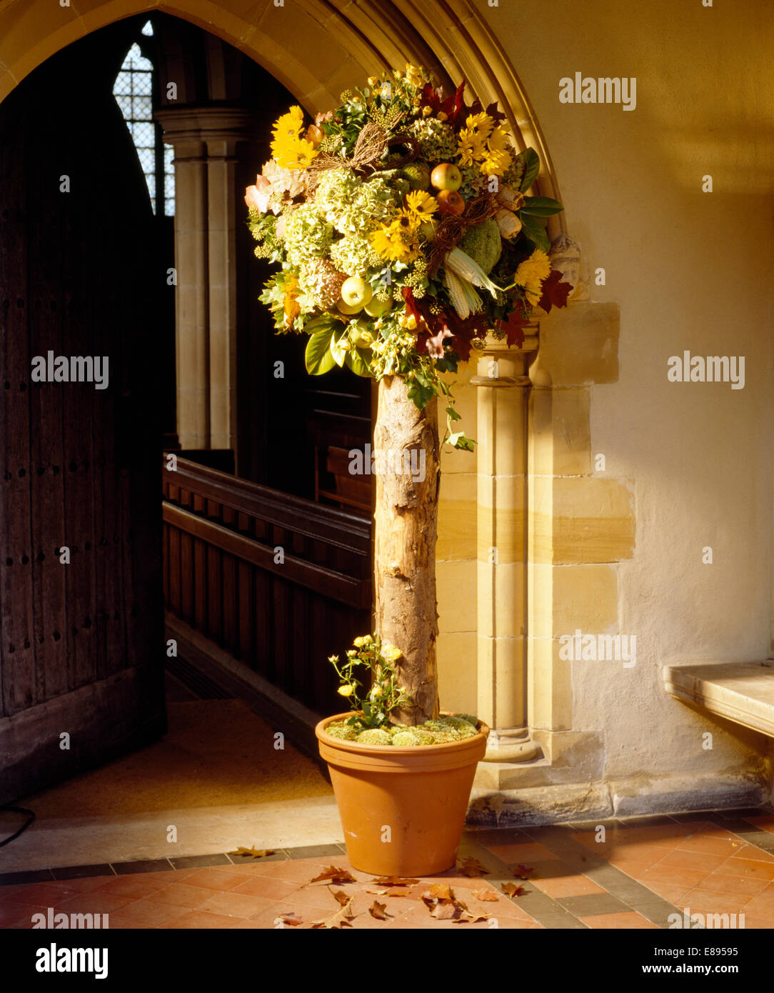 Still-Life of fresh flowers made into topiary tree with branch in ...