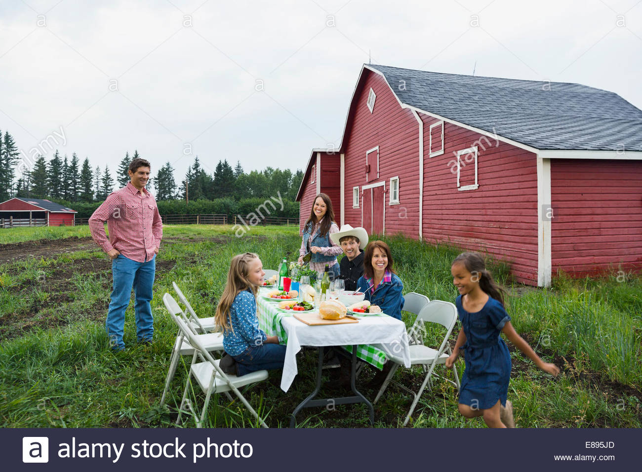 Woman dinner table full up hi-res stock photography and images - Alamy