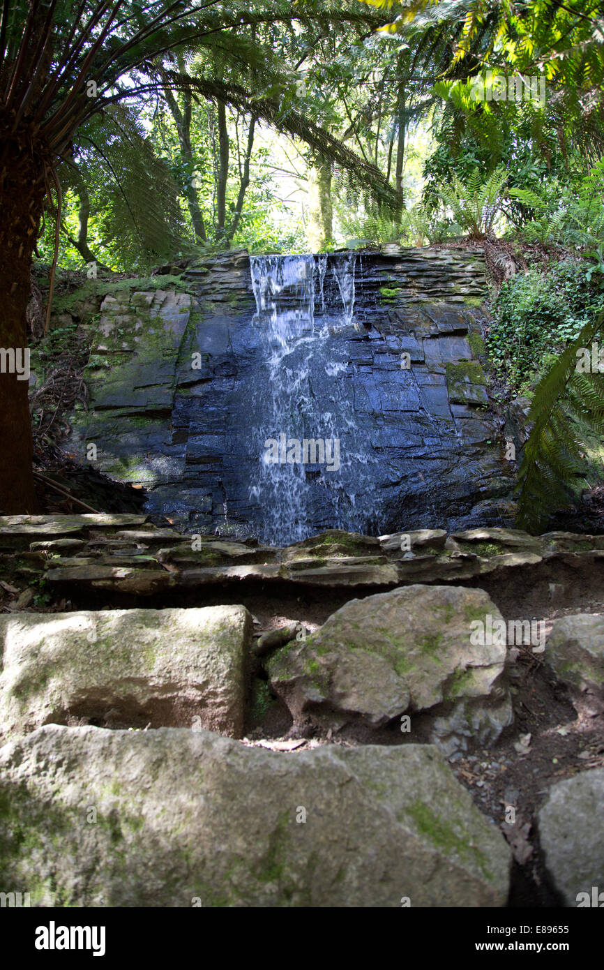 Looking down water plants hi-res stock photography and images - Alamy