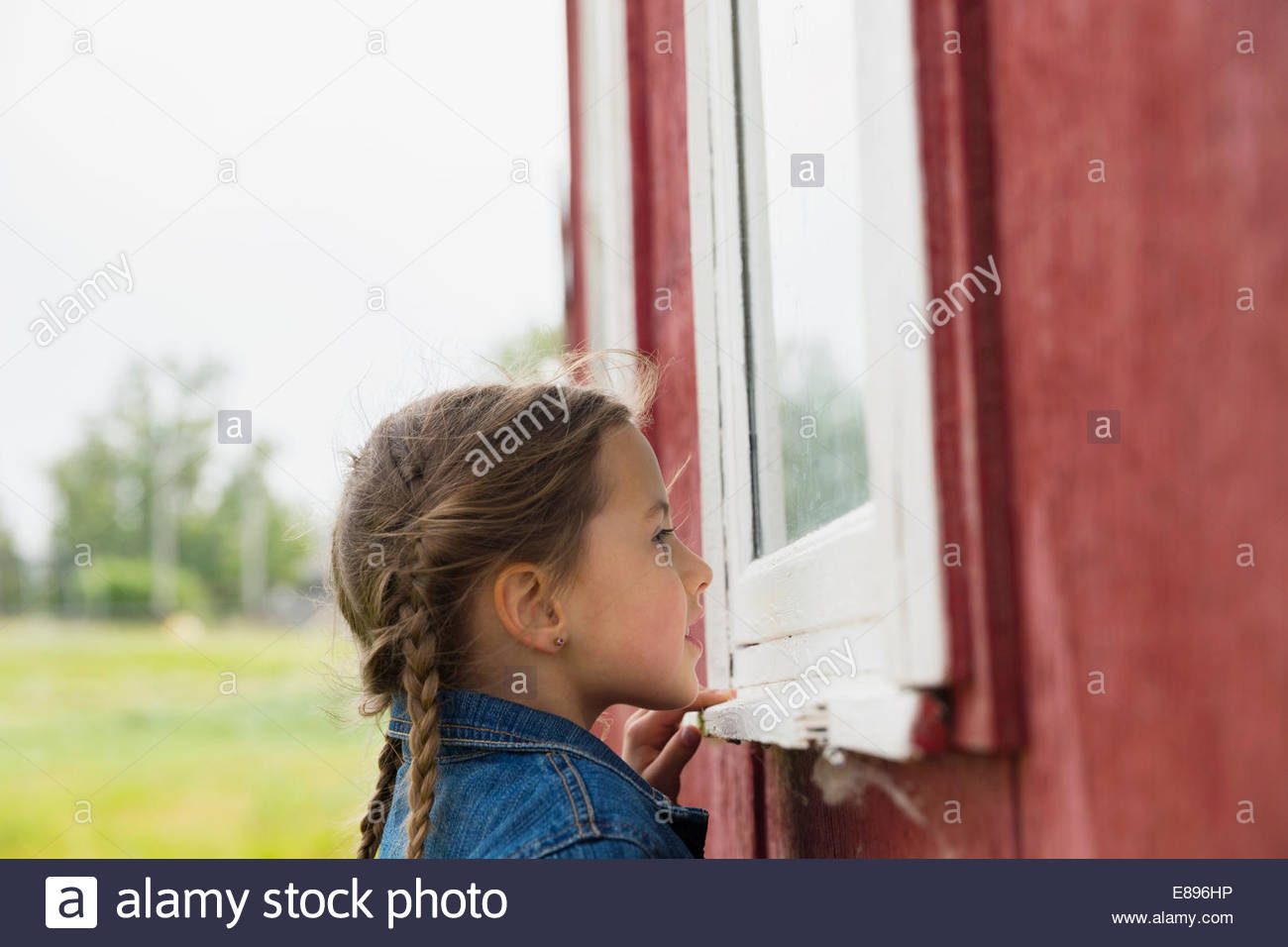 Curious girl looking inside window Stock Photo - Alamy