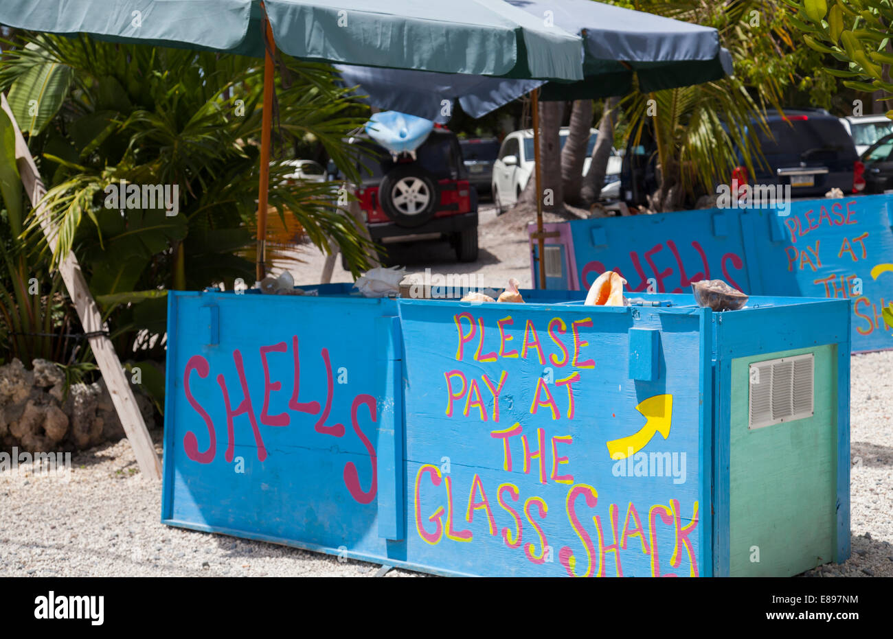 Souvenir shells for sale at Robbies of Islamorada in the Florida Keys ...