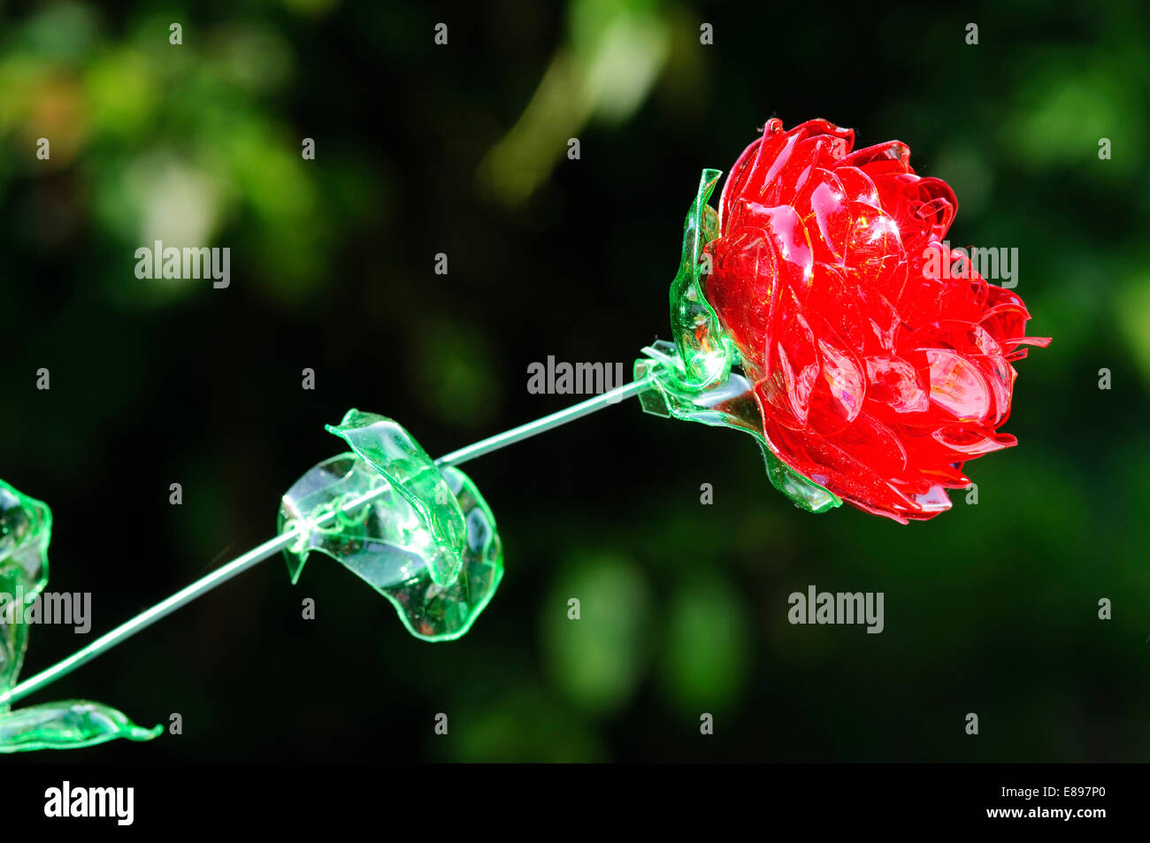 Plastic Bottles Flowers