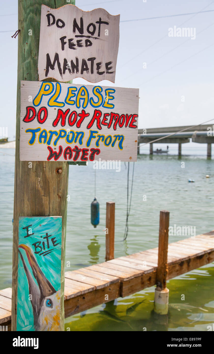 Tarpon feeding signs at Robbies of Islamorada in the Florida Keys Stock ...