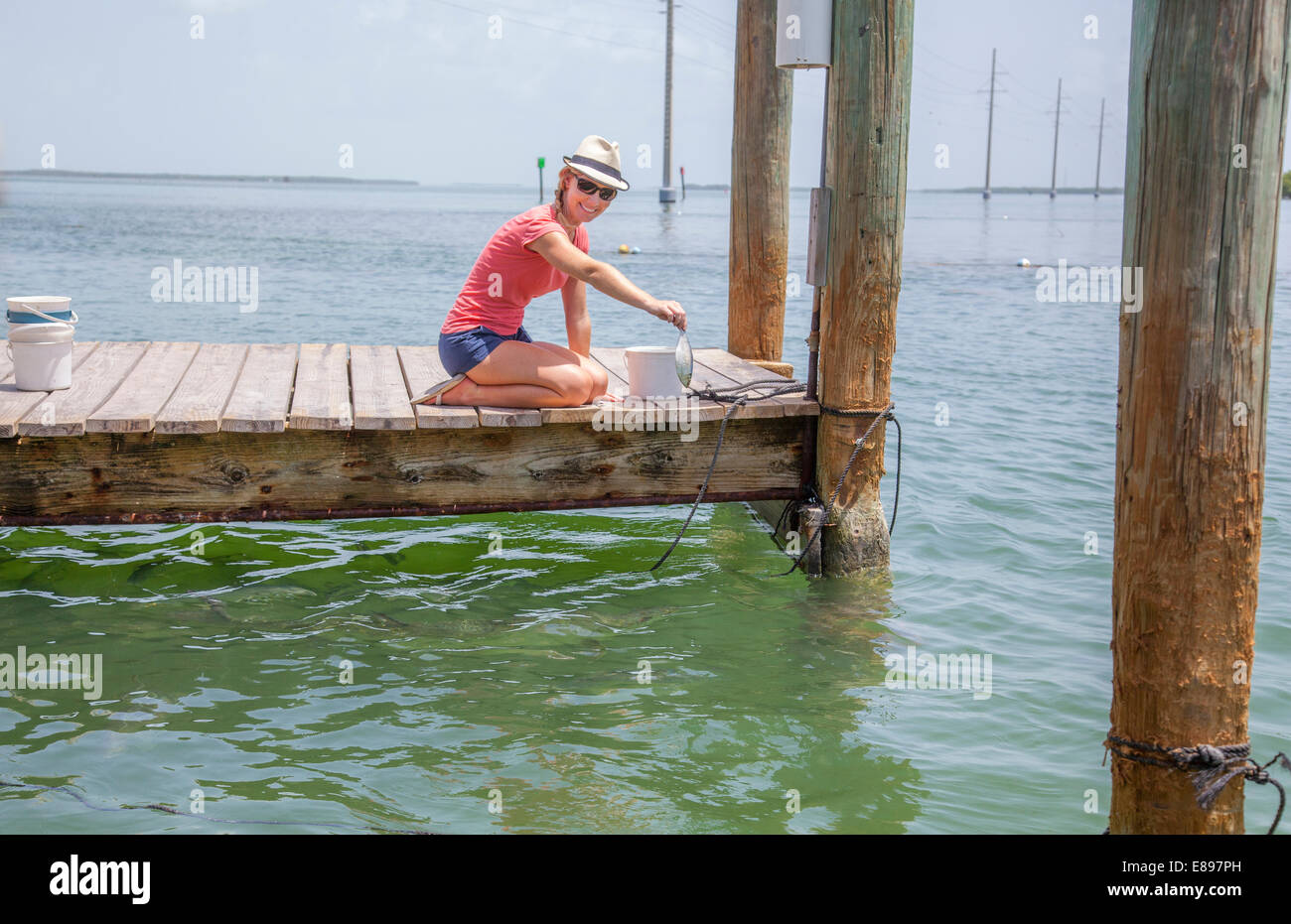 Girl feeding tarpon from dock at Robbies of Islamorada in the Florida ...
